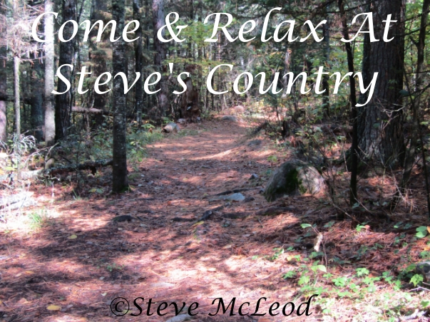 Forest Treasures…A Poem. – Steve`s Country