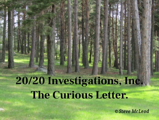 20/20 Investigations, Inc. The curious Letter. Chapter 12. – Steve`s ...