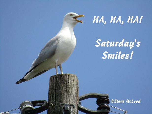 Saturday’s Smiles! – Steve`s Country