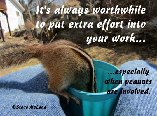 Chipmunk Quotes #22. – Steve`s Country