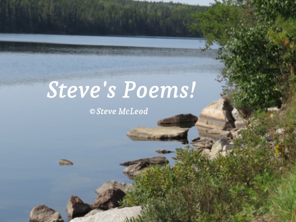 Goldfinch. A Short Poem. – Steve`s Country