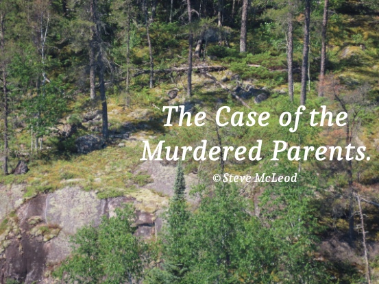 The Investigators, Inc. The Case of the Murdered Parents. Chapter 15 ...