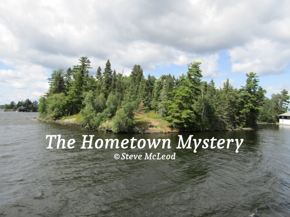 The Investigators, Inc. The Hometown Mystery. Chapter 8. Mangy Rat ...