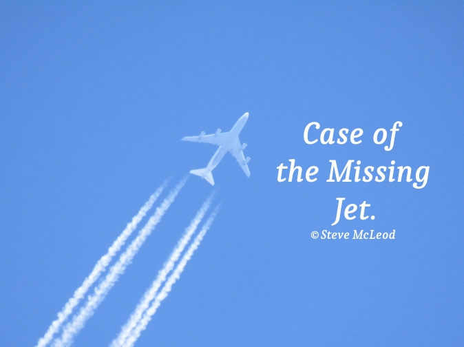 The Investigators, Inc. Case of the Missing Jet. Chapter 8. Playful Kat ...