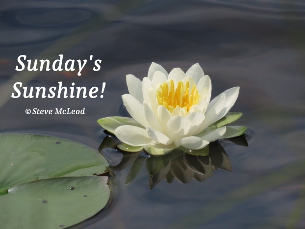 Sunday’s Sunshine! #10 – Steve`s Country